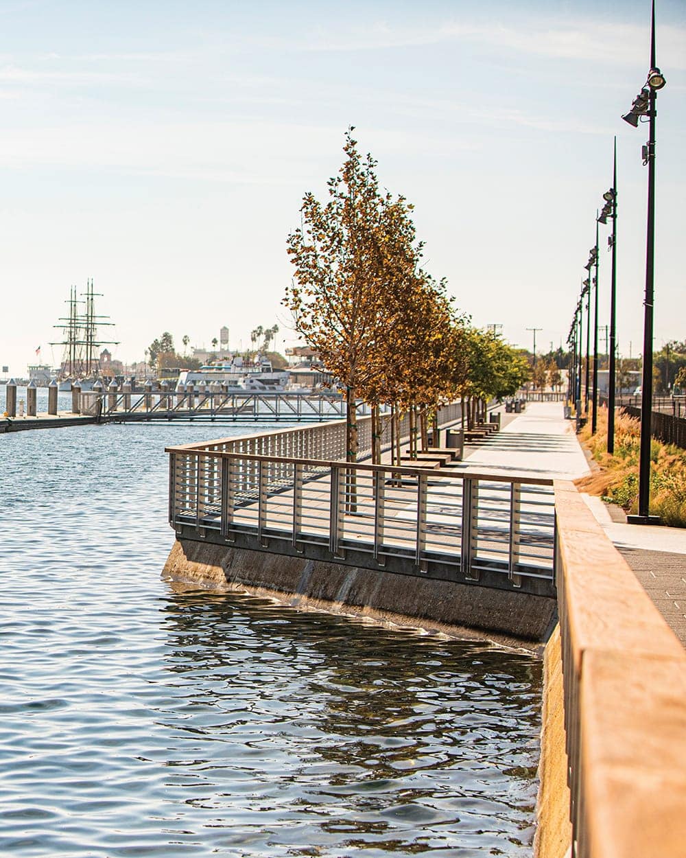 120 Things To Do in San Pedro (2024 Edition) - San Pedro Today