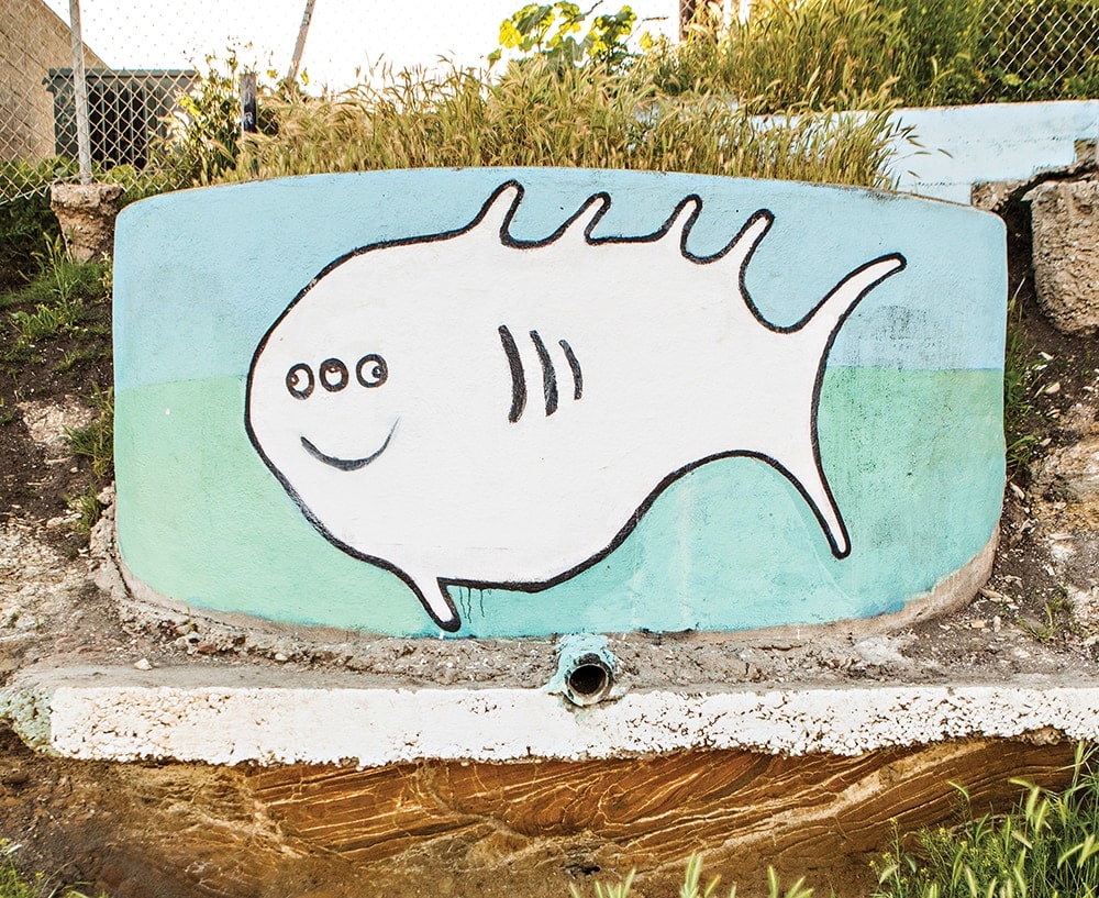 120 Things To Do in San Pedro (2024 Edition) - San Pedro Today